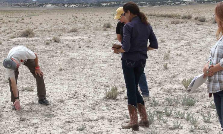 Rangeland Management | U.S. Department of the Interior